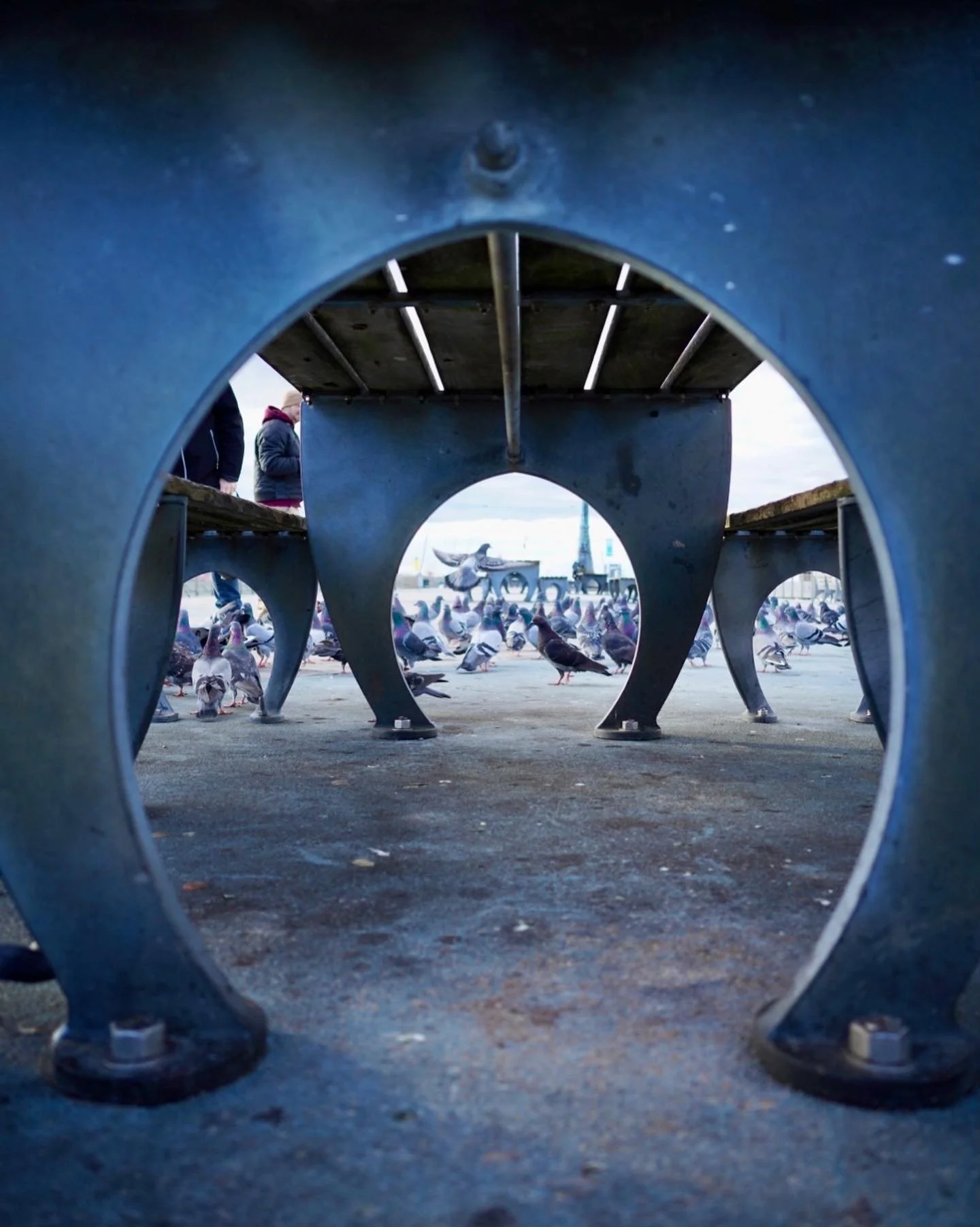 Photographer Spotlight: Xander Canty — Uptown Photowalk