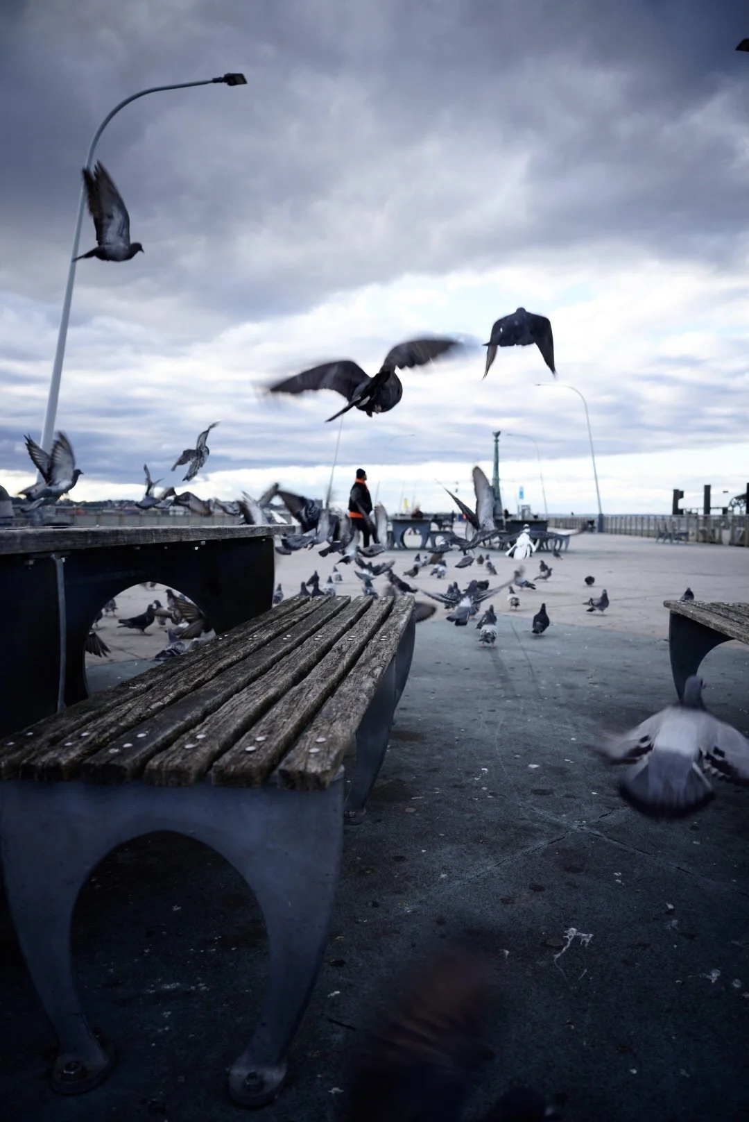 Photographer Spotlight: Xander Canty — Uptown Photowalk