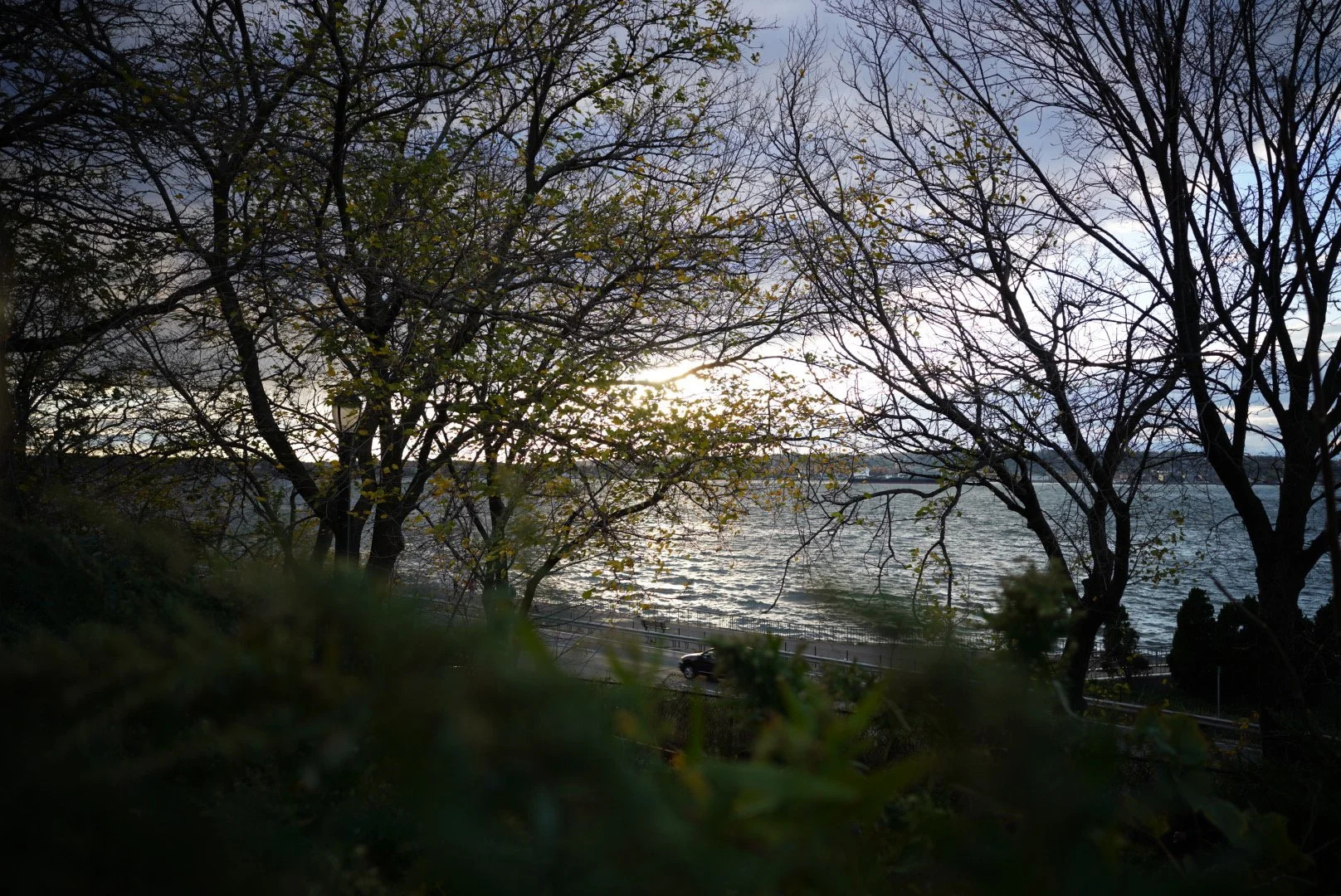 Photographer Spotlight: Xander Canty — Uptown Photowalk