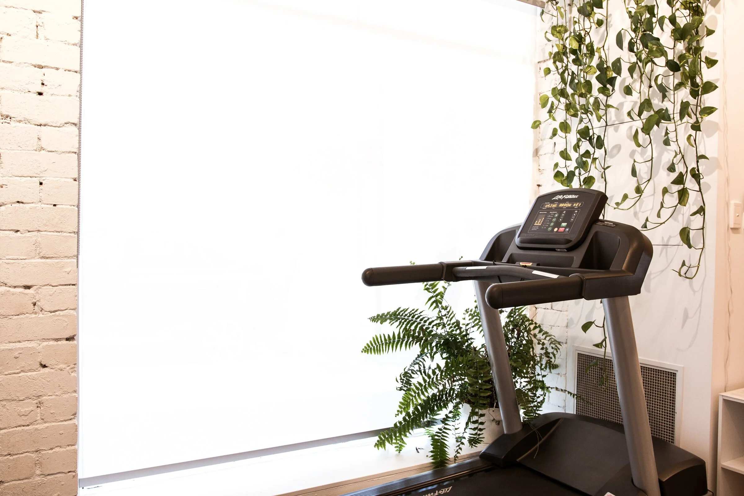 What we treat — Wellness Station Exercise Physiology | Pain and Fatigue Clinic