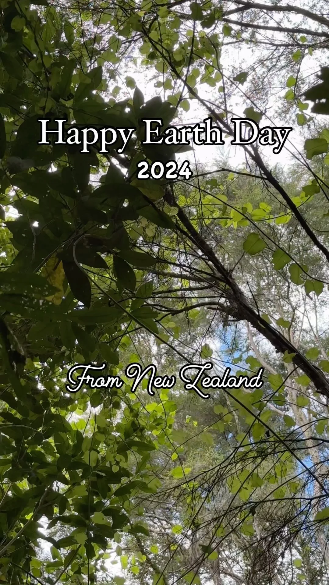 Low FODMAP Recipes & Healthy Living Blog | Chronically Ellen Eats