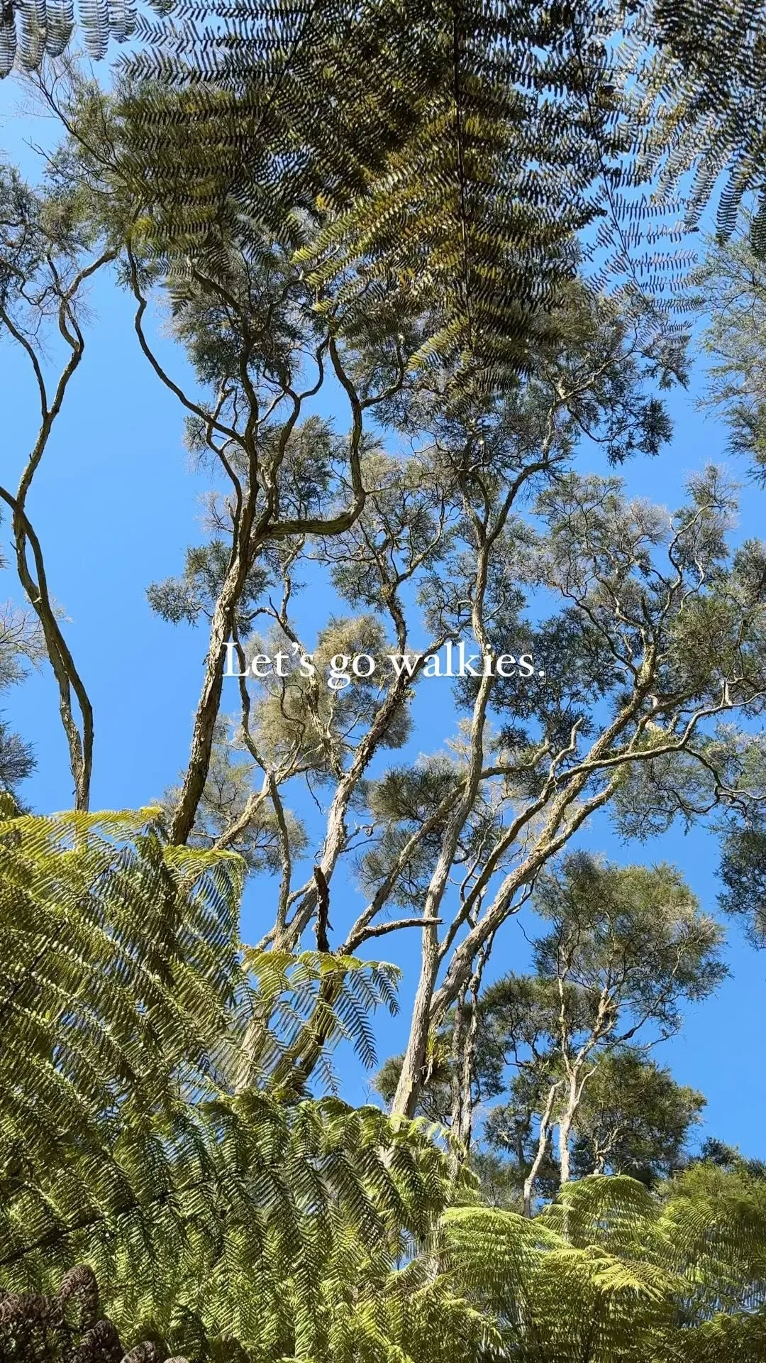 Low FODMAP Recipes & Healthy Living Blog | Chronically Ellen Eats