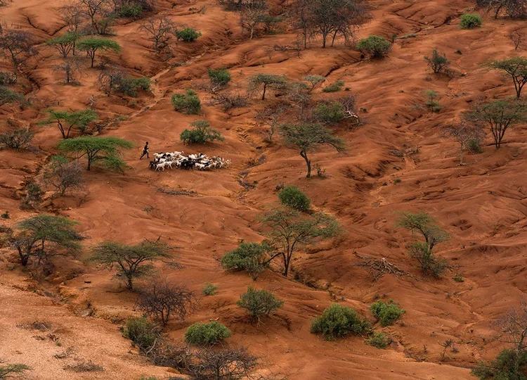 Northern Kenya Rangelands Carbon Project
