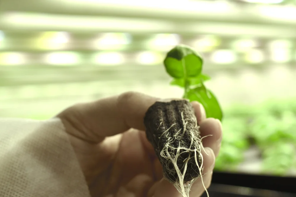 Nordic Substrate Solutions