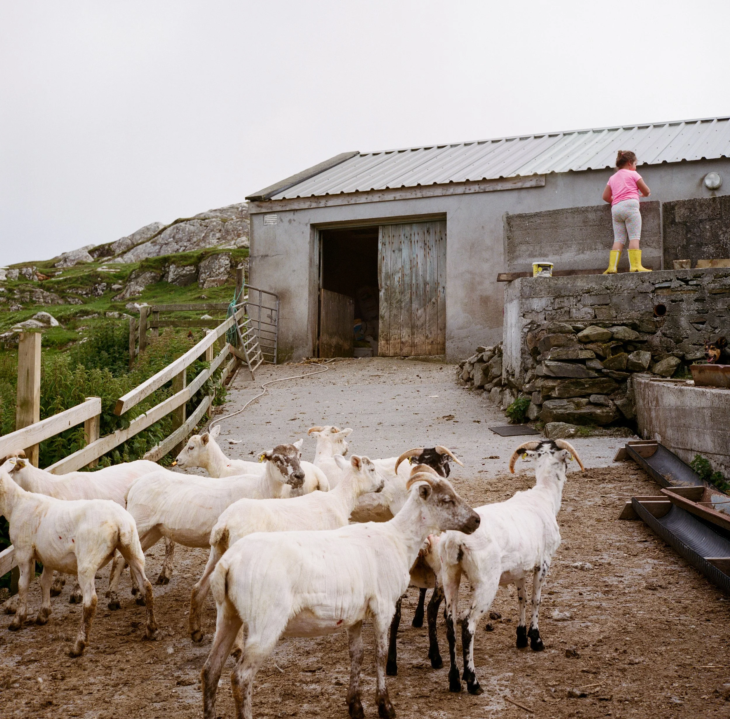 The West — Paul Napo