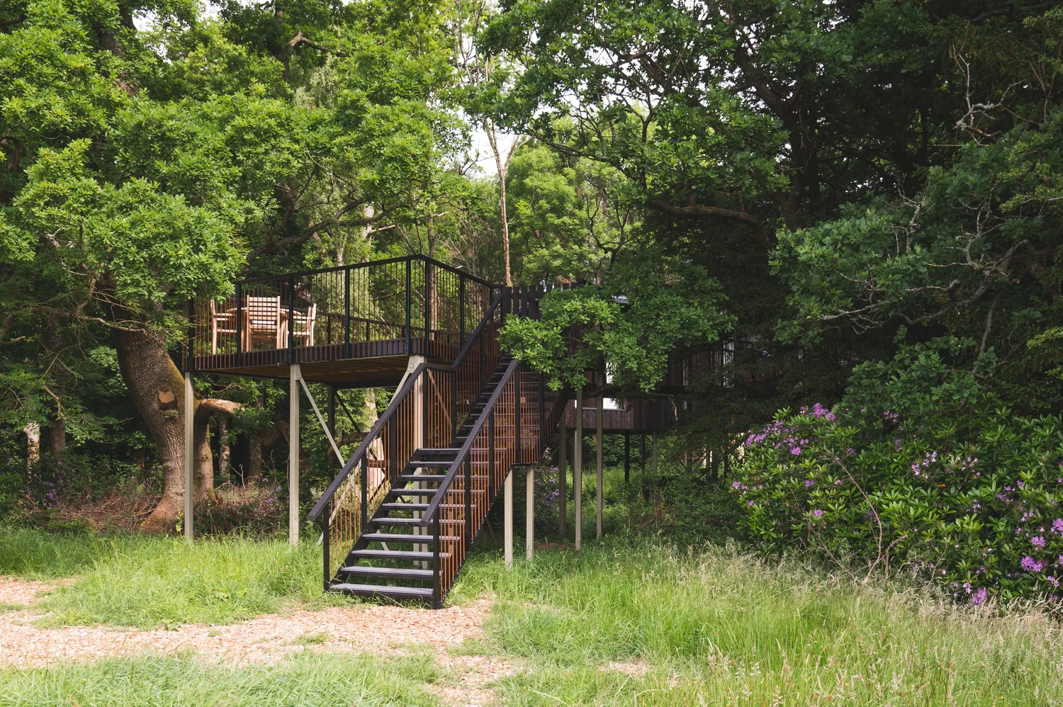 Wren — Treehouses at Leckie
