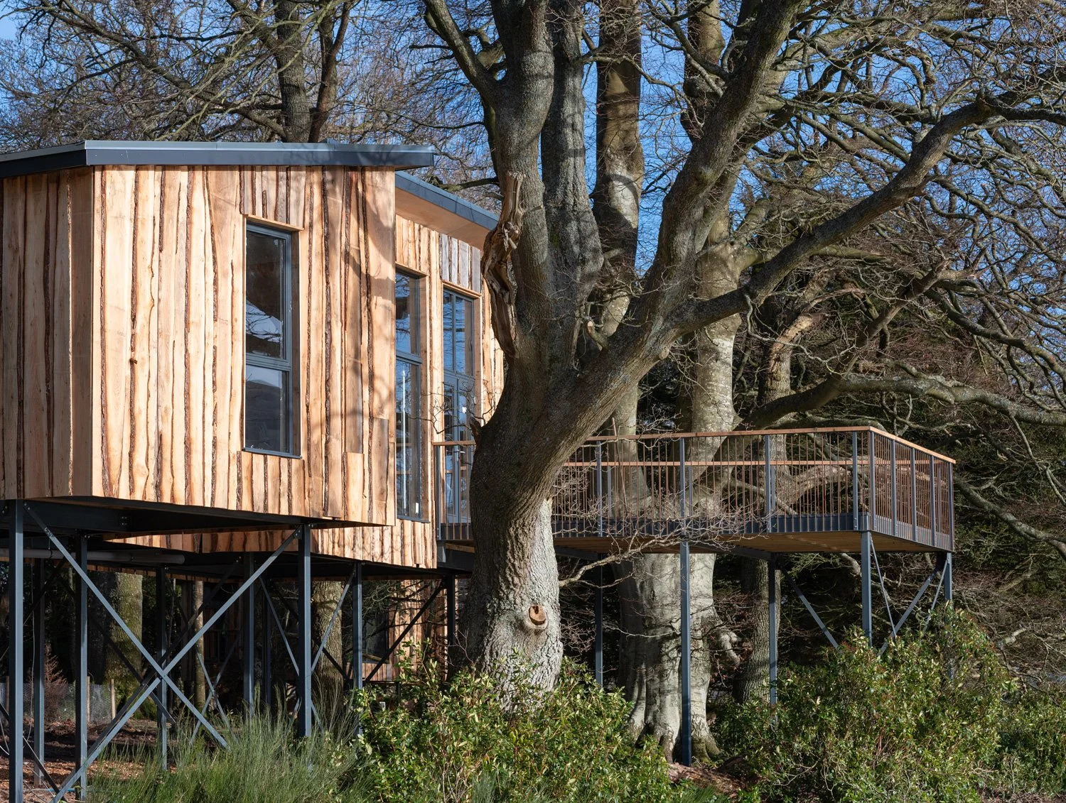 Siskin — Treehouses at Leckie
