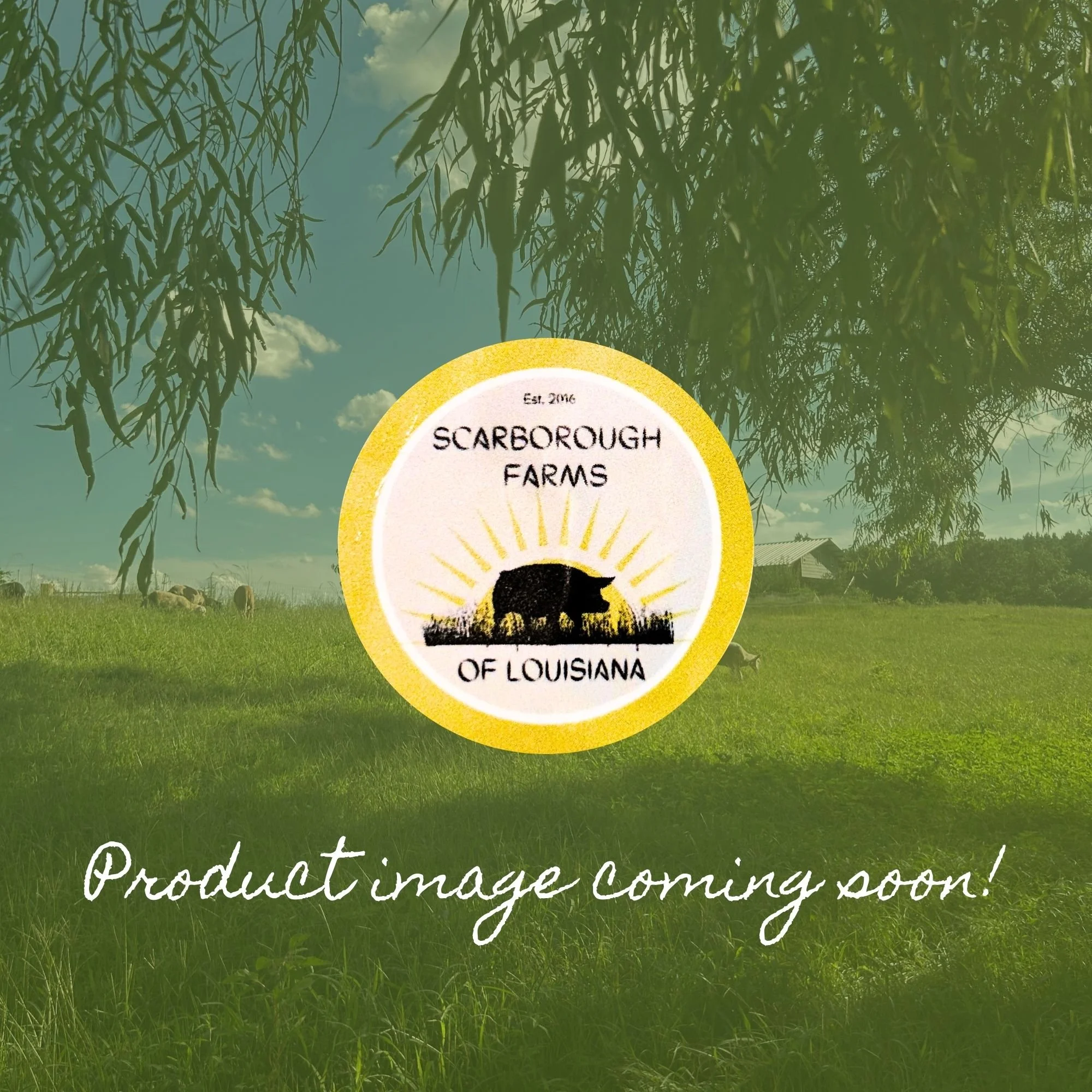 Products | Grass-Fed Beef | Pasture-Raised Pork, Chicken & Lamb ...