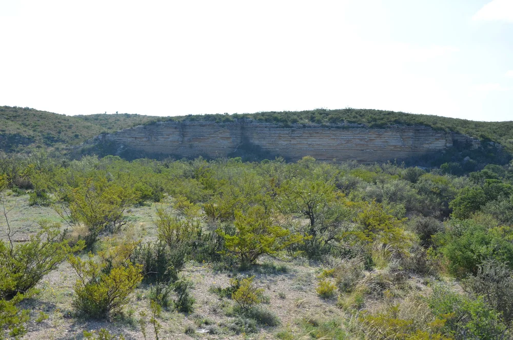 Gallery — Cook Creek Ranch