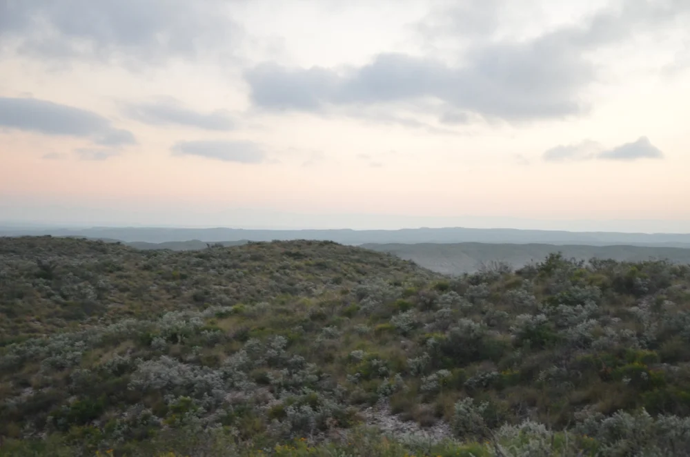 Gallery — Cook Creek Ranch