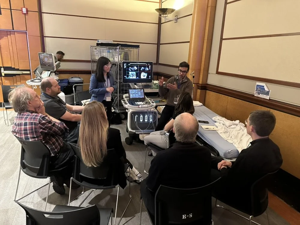 Course Toronto — 3D TEE COURSE