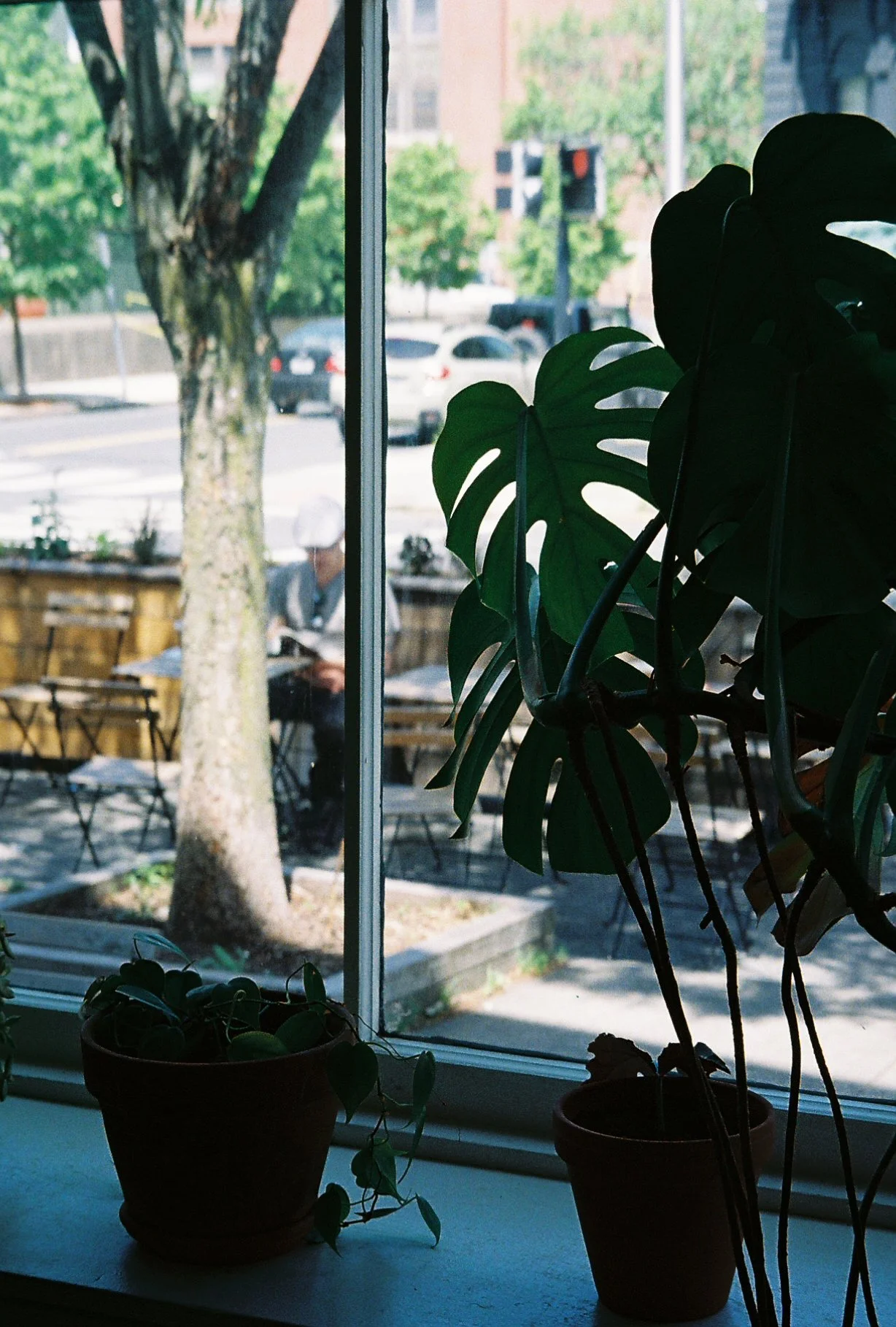 About 5 — THE NITRO BAR