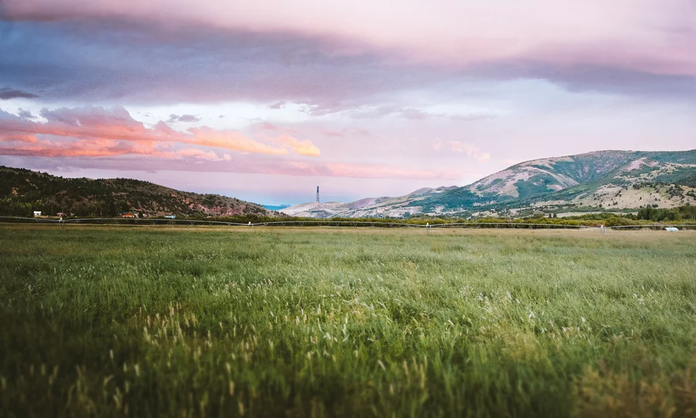 Health Equity — Montana Public Health Institute