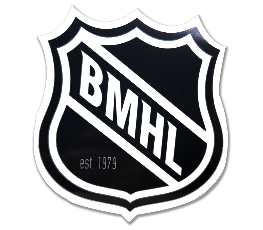 Batavia Men's Hockey League — David M. McCarthy Memorial Ice Arena