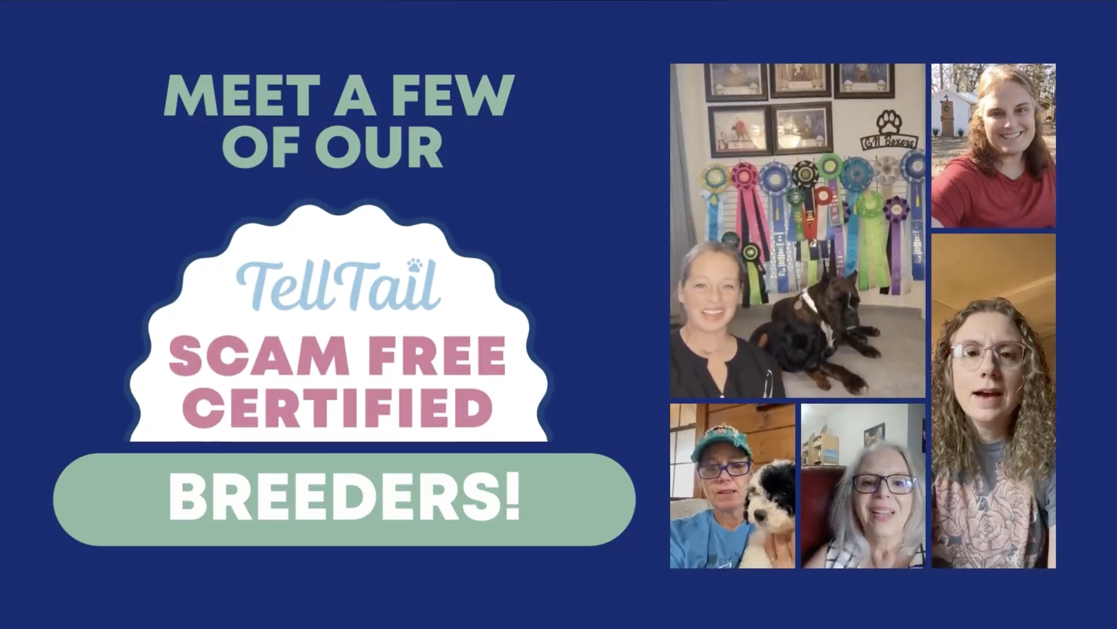 TellTail - Scam Free Certified