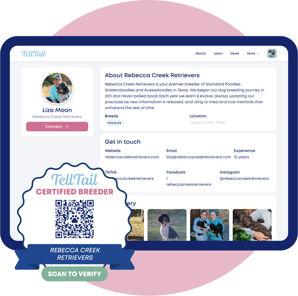 TellTail - Matching Pet Buyers with Certified Dog Breeders