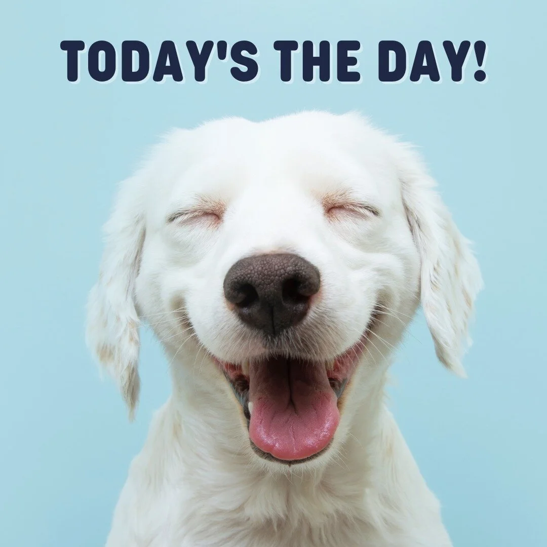 Dogs Day Out | Worldham 14th May