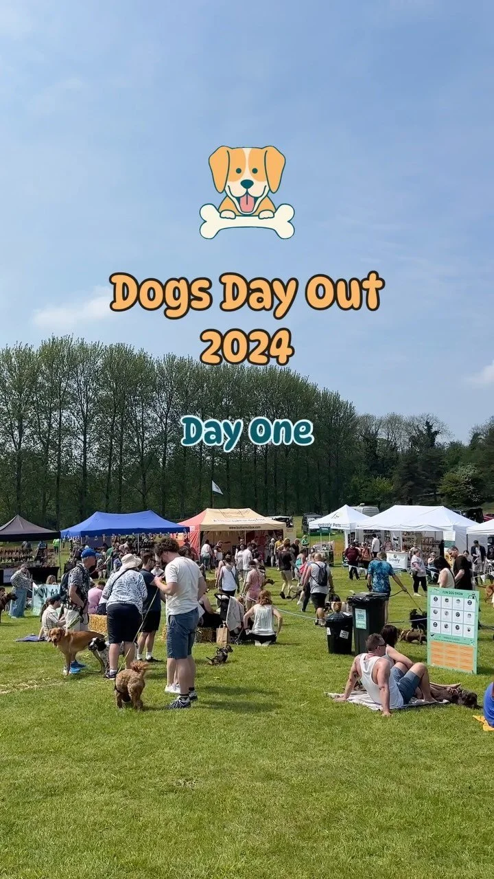Dogs Day Out Worldham | 2024
