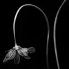 lee anne white