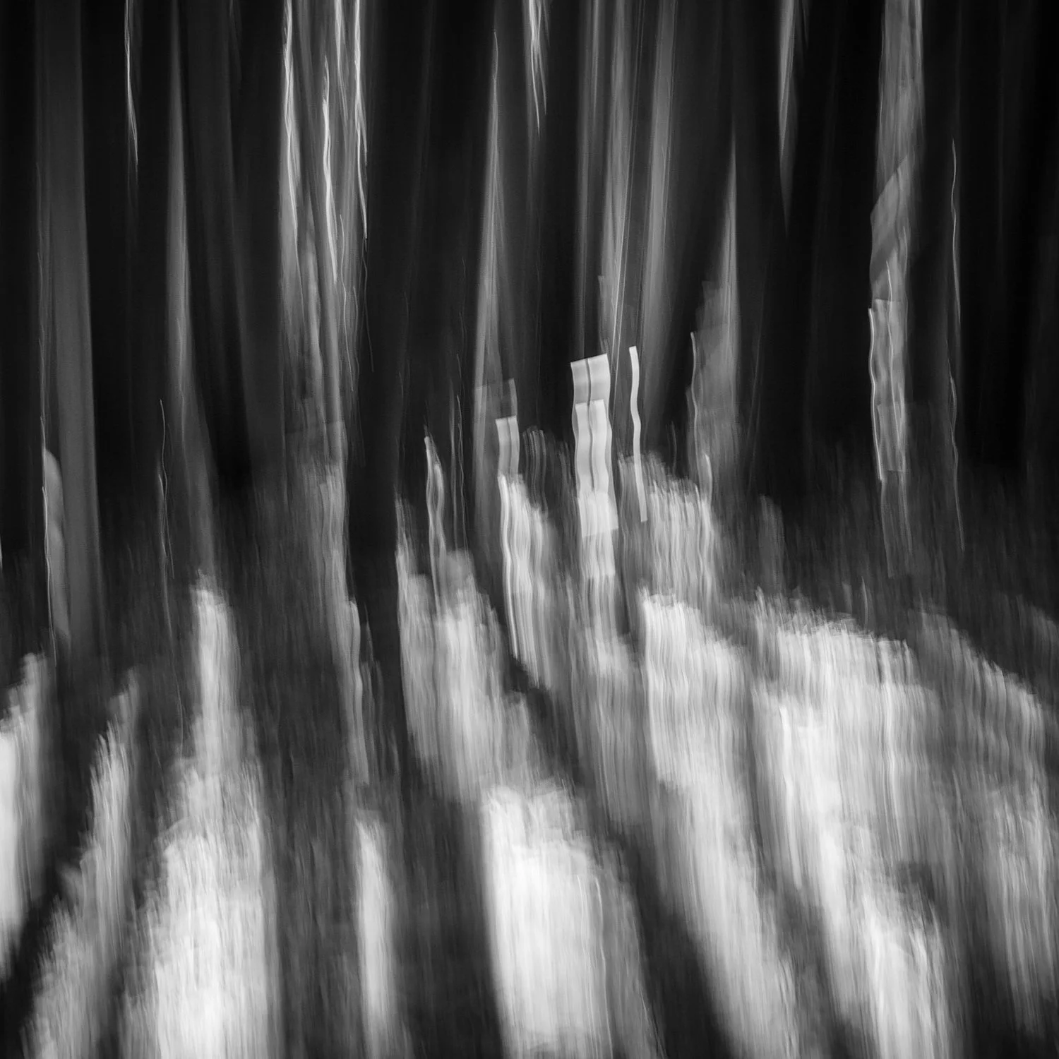 lee anne white