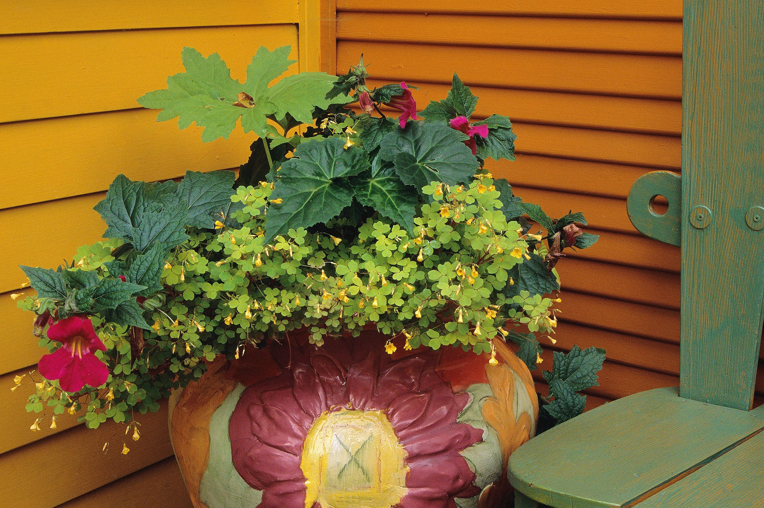 for the love of gardens — lee anne white