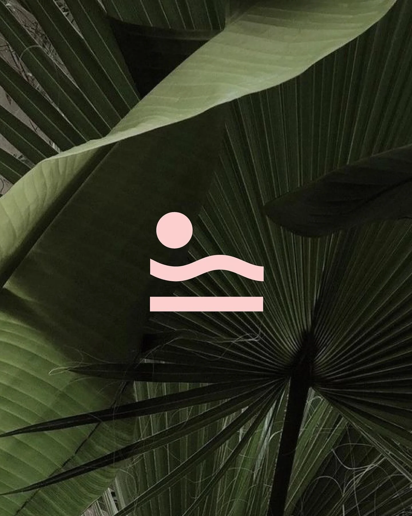 Papa Skincare — Sylvia Creative