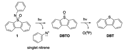 Dual-release — McCulla Lab