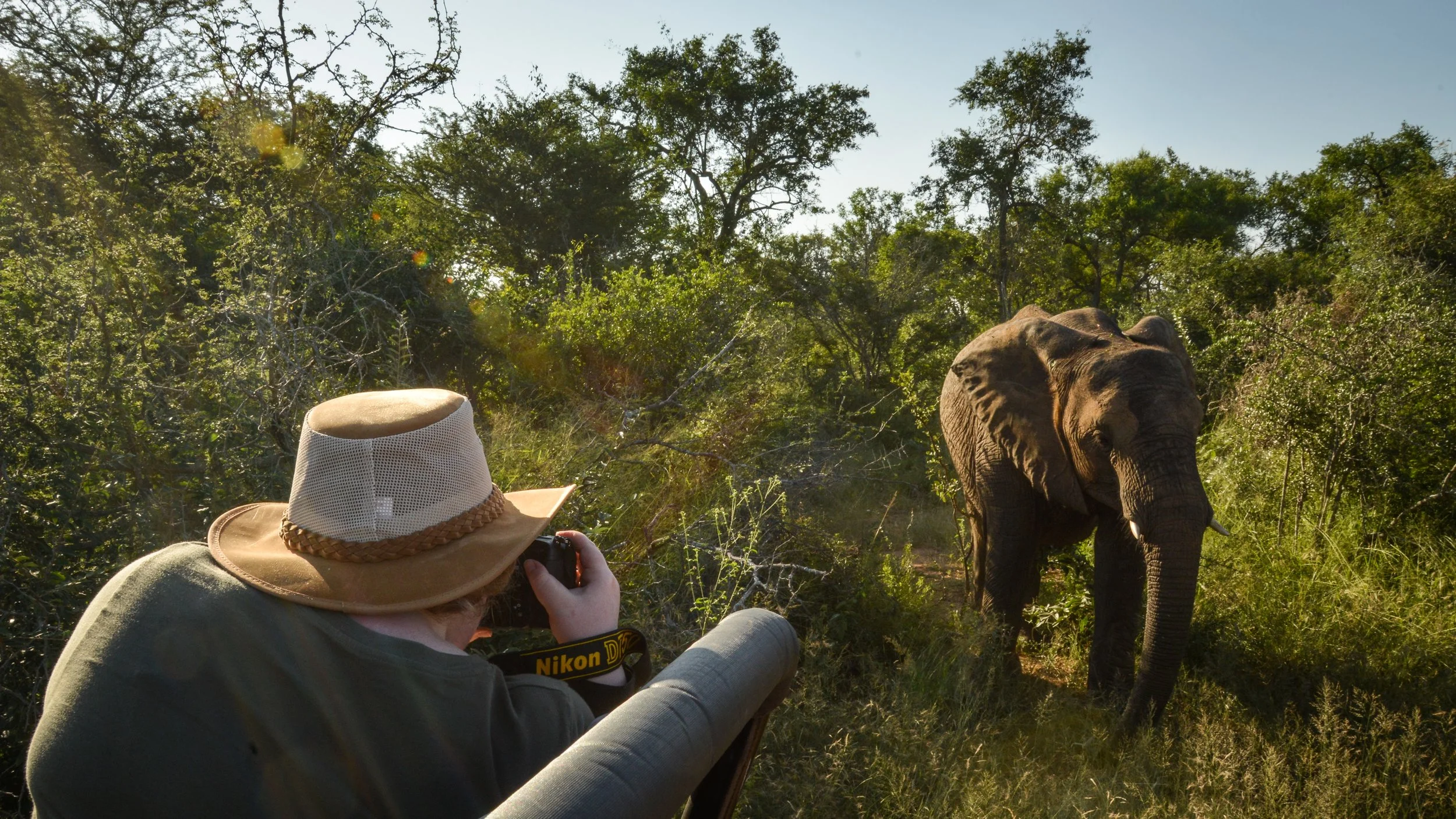 Odyssey Safaris | African Safaris