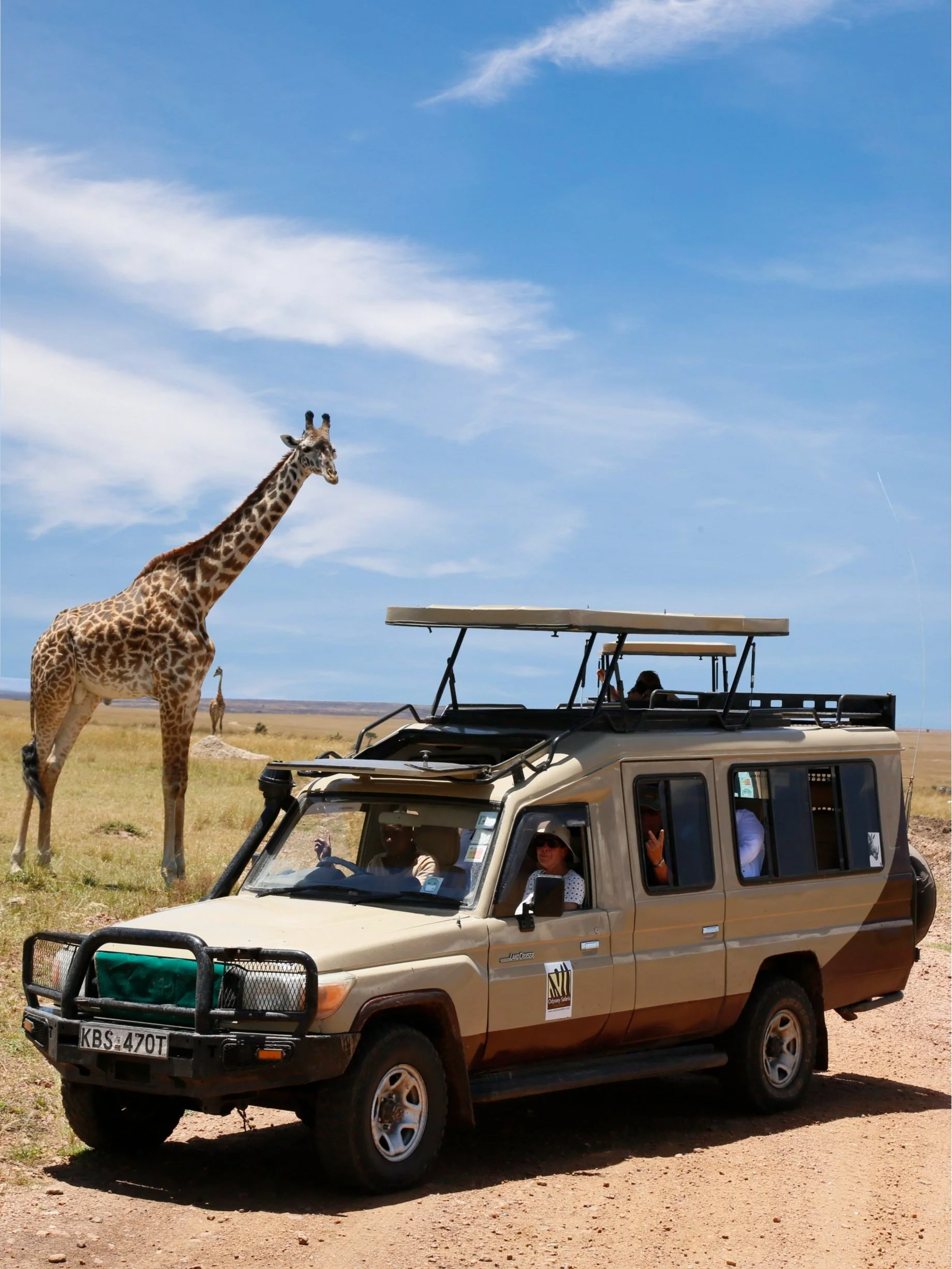 Odyssey Safaris | African Safaris
