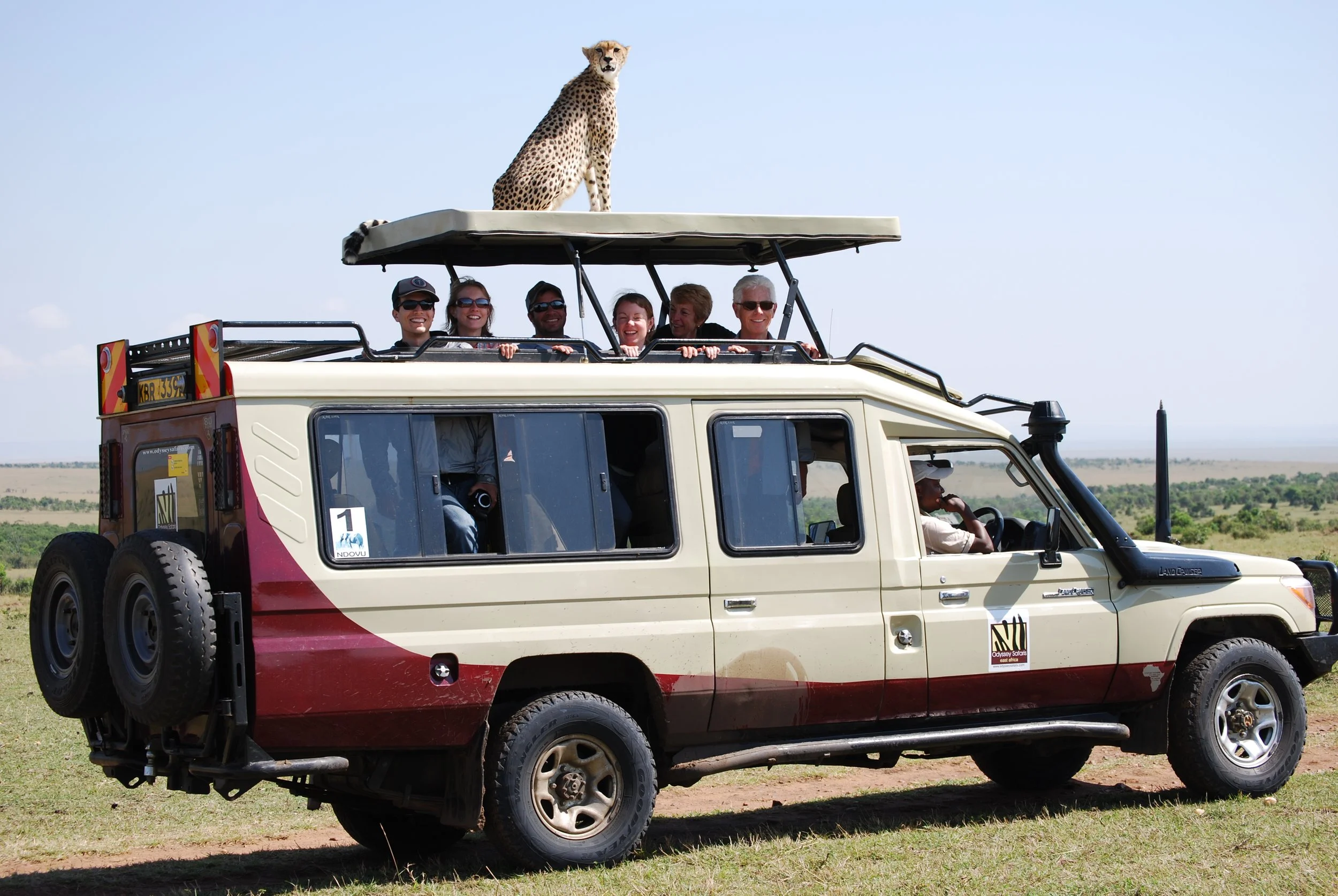 Odyssey Safaris | African Safaris