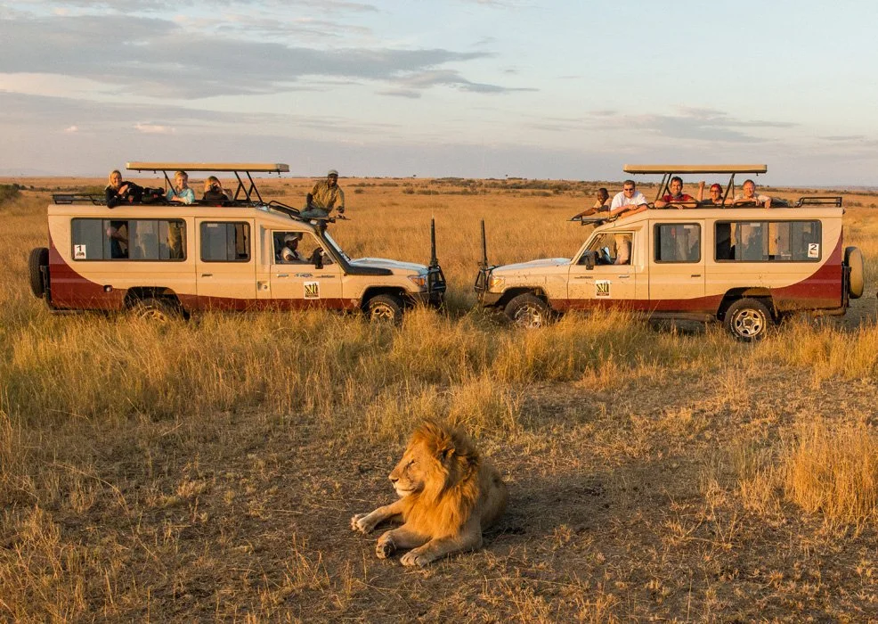 Odyssey Safaris | African Safaris