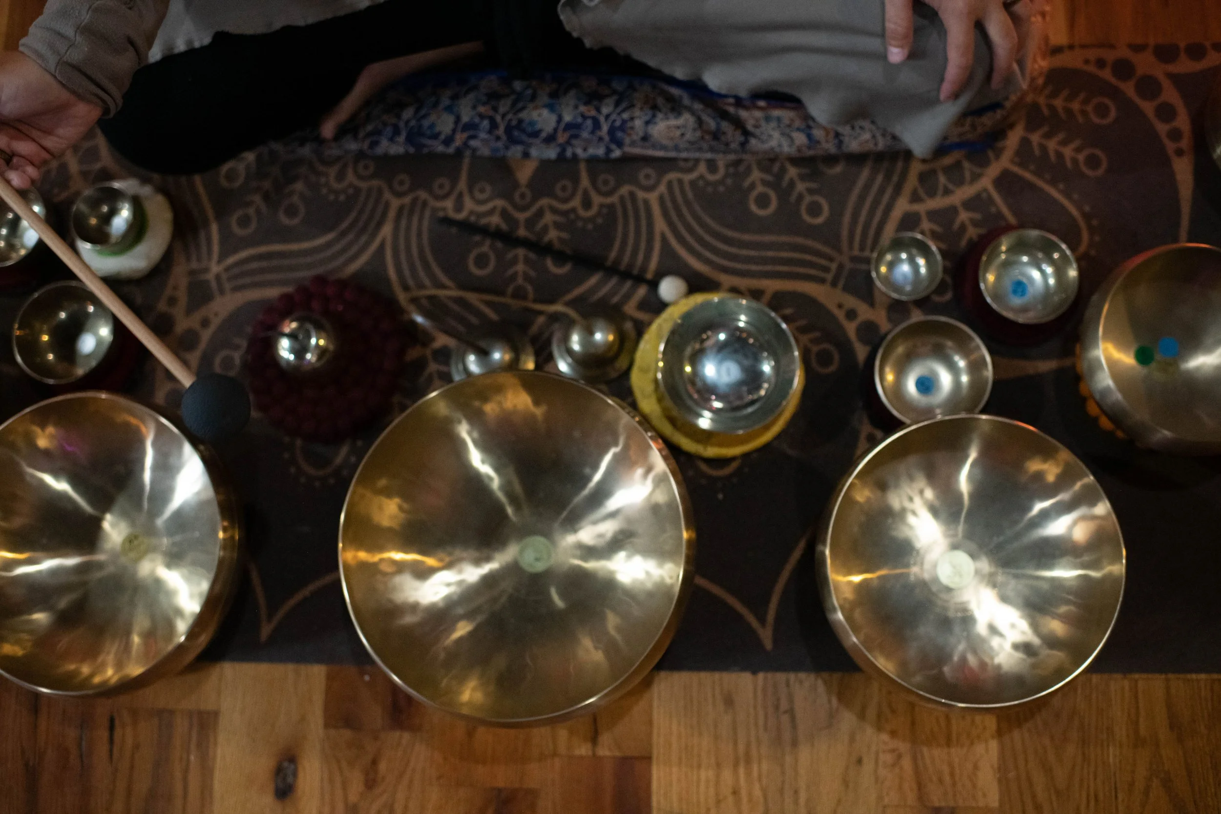 Instrument Rentals | Enhance Your Sound Experience — Rent Now — ROOTED ...