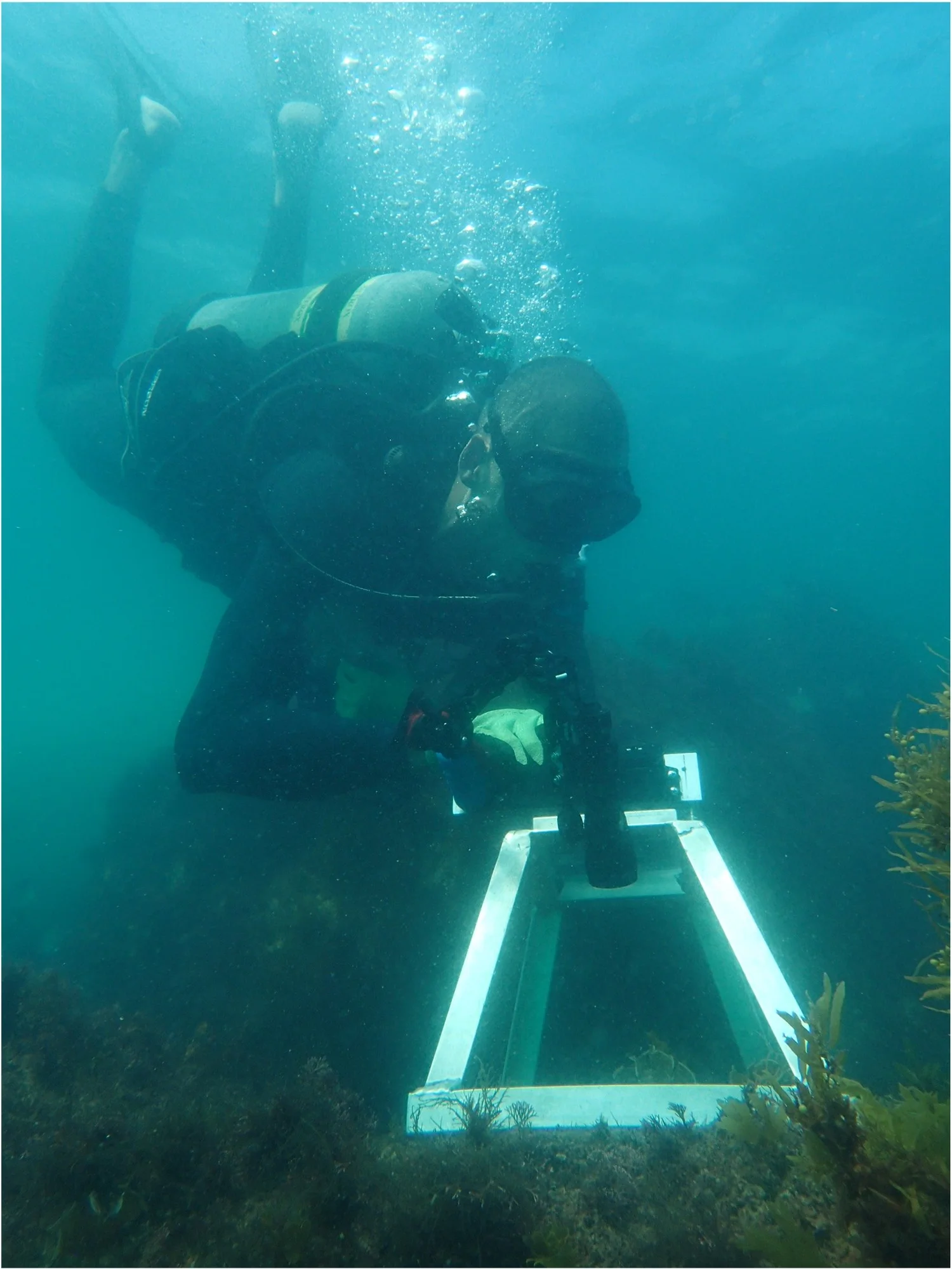 People — The McLean Lab