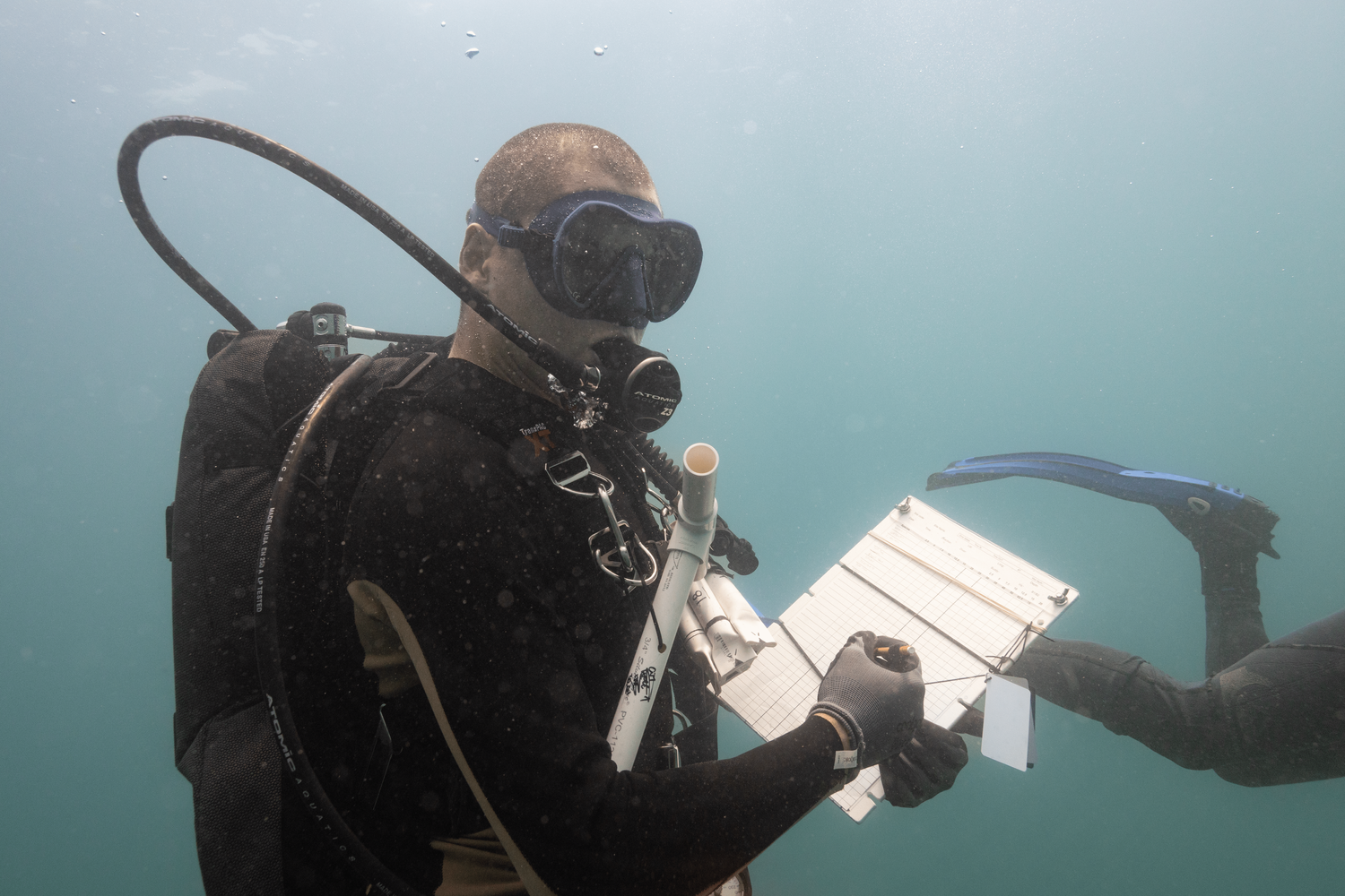 People — The McLean Lab