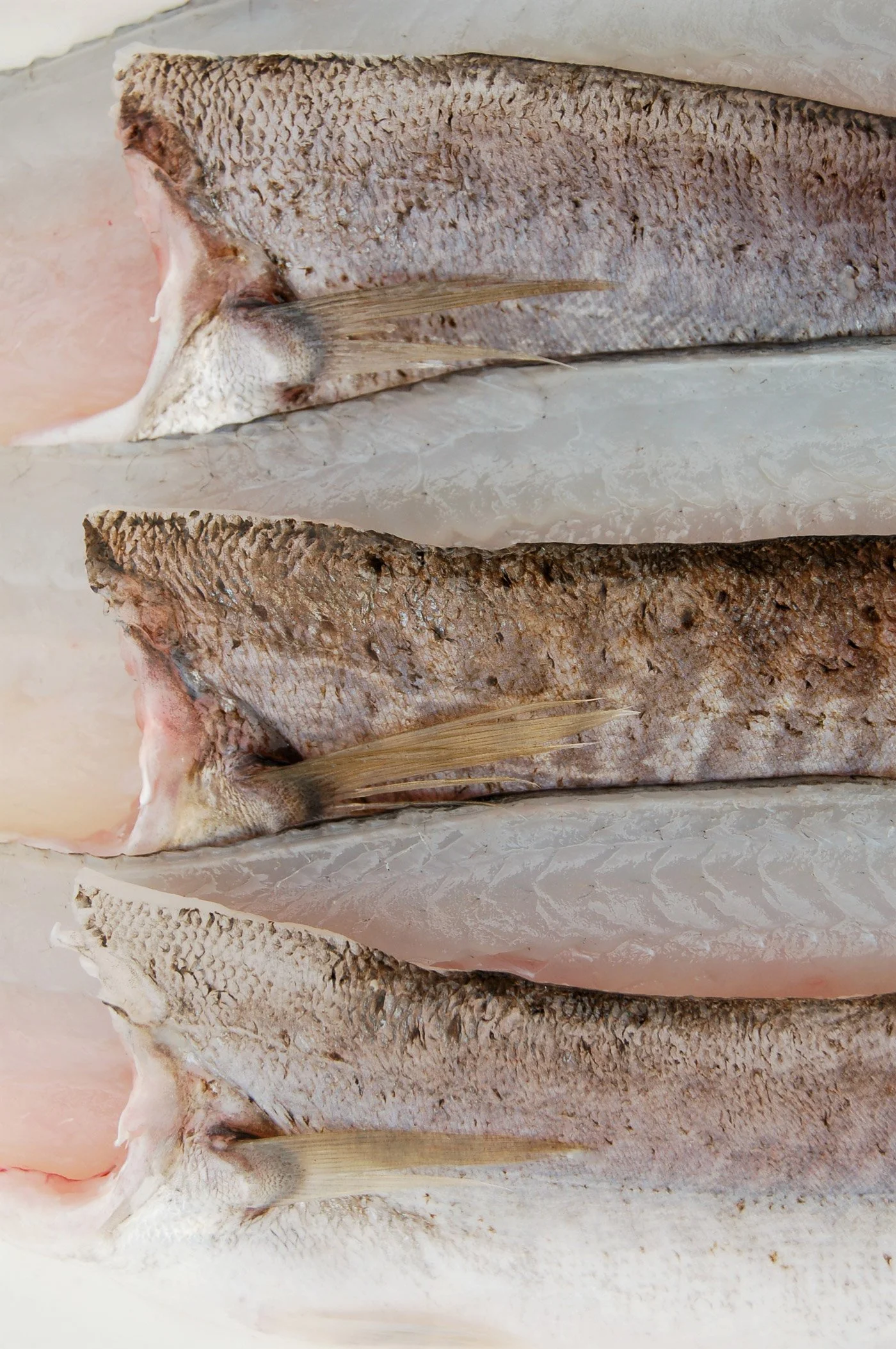 Wholesale Seafood — Fresh Fish Place