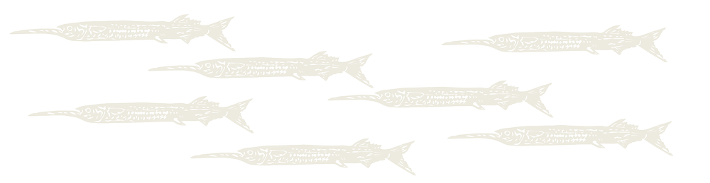 Fresh Fish Place - Port Lincoln Seafood