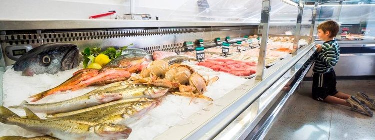Wholesale Seafood — Fresh Fish Place