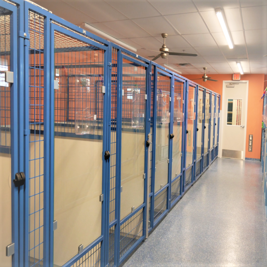 Tempered Glass Kennels — Presidio Custom Kennels - NEW