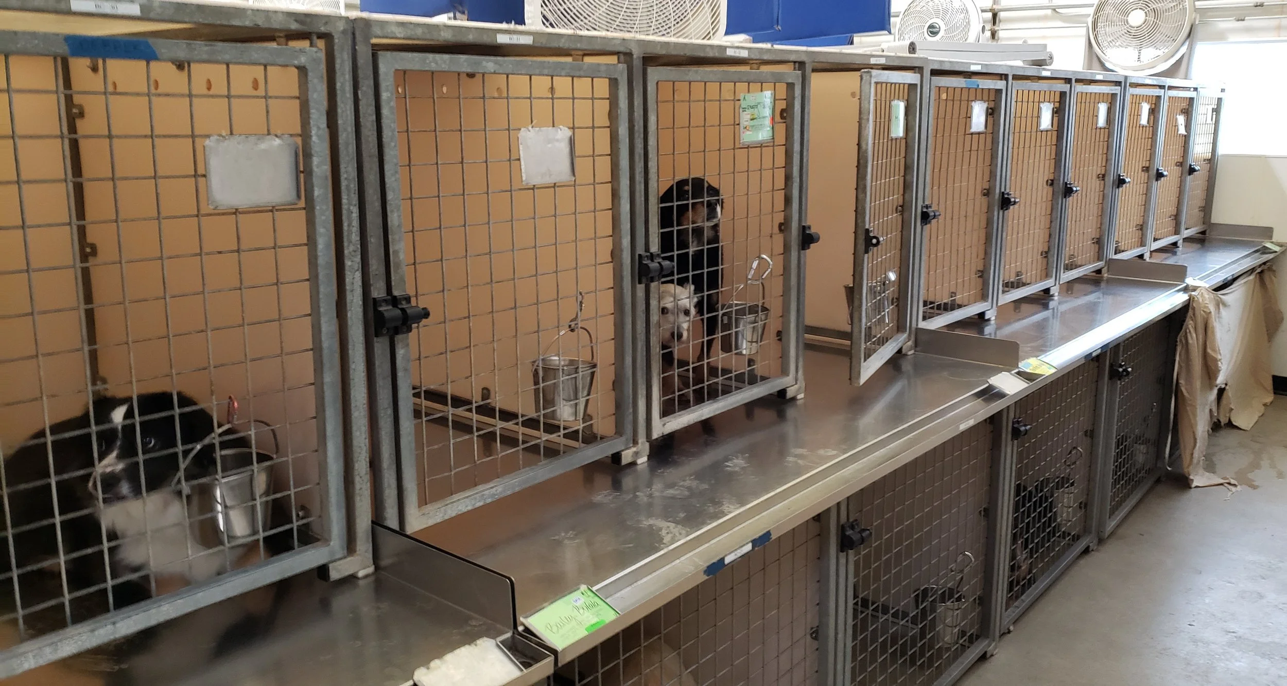 Stackable Kennels — Presidio Custom Kennels - NEW