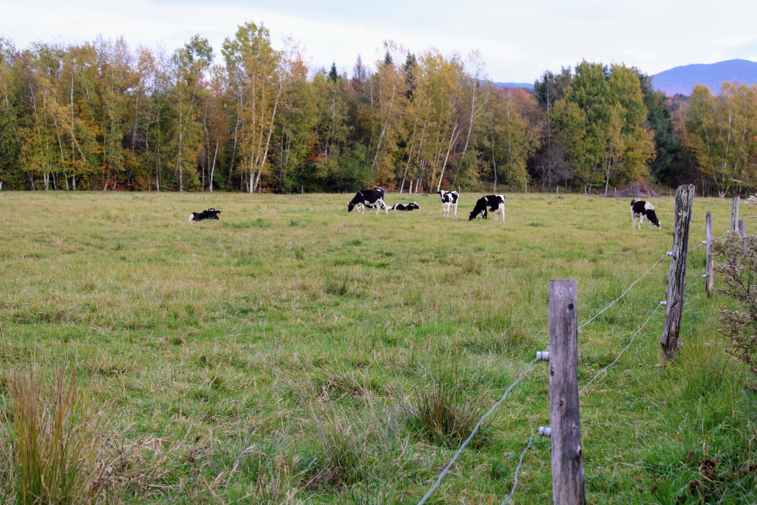 Landscape — Photographer Kim Pope brings you A Little Vermont: Joy ...