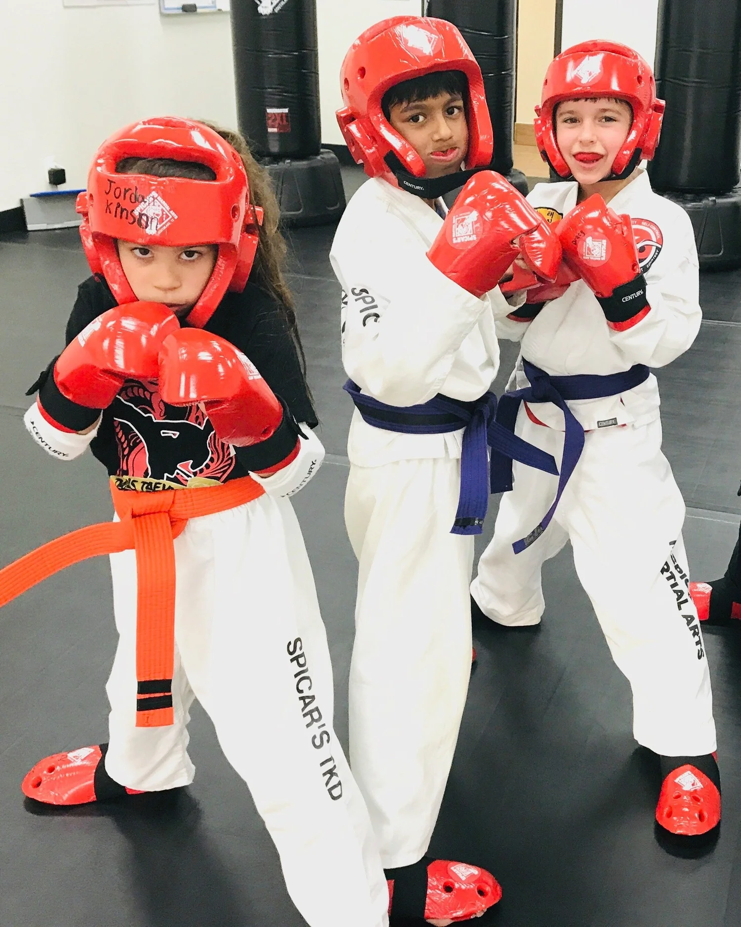 The Importance of Sparring — Reveal Martial Arts