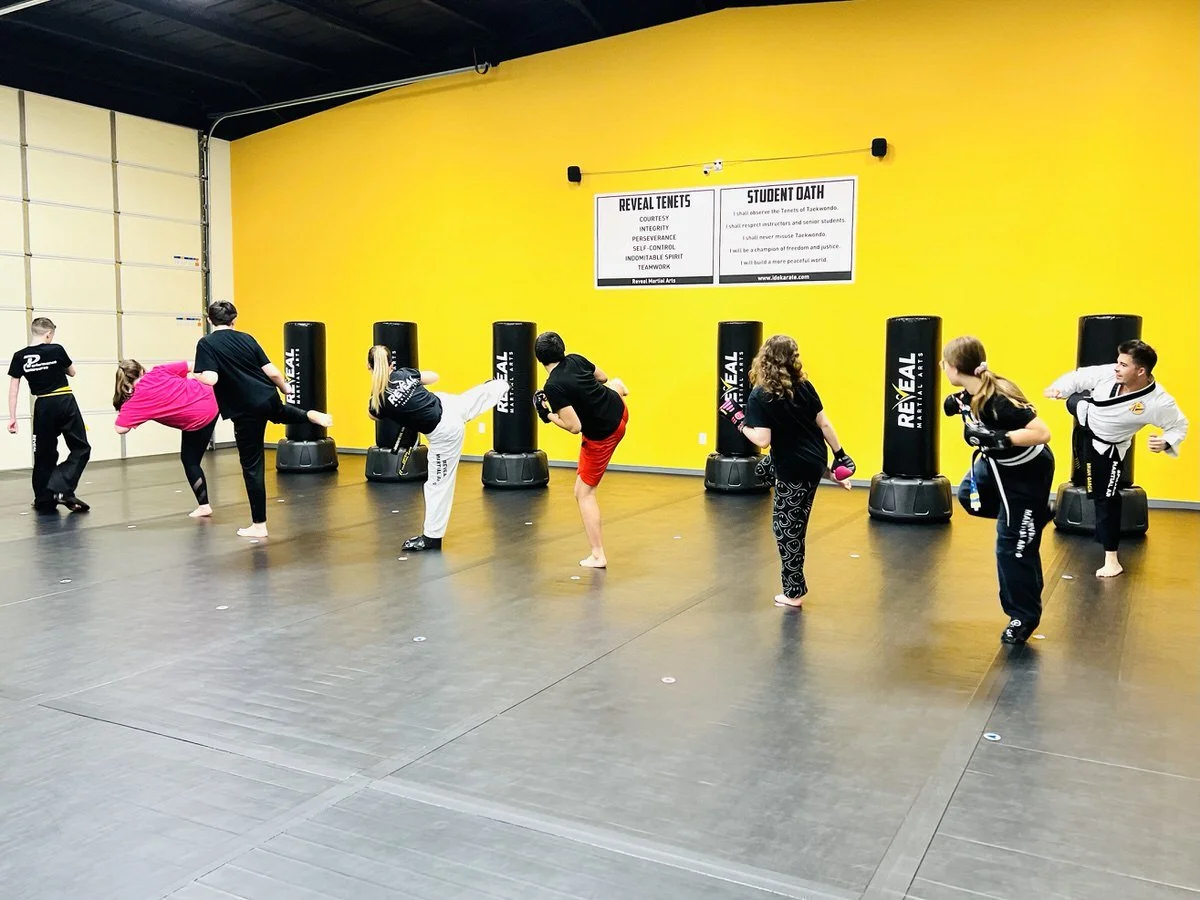 Reveal Martial Arts Haslet Celebrates 6 Months of Empowering the ...