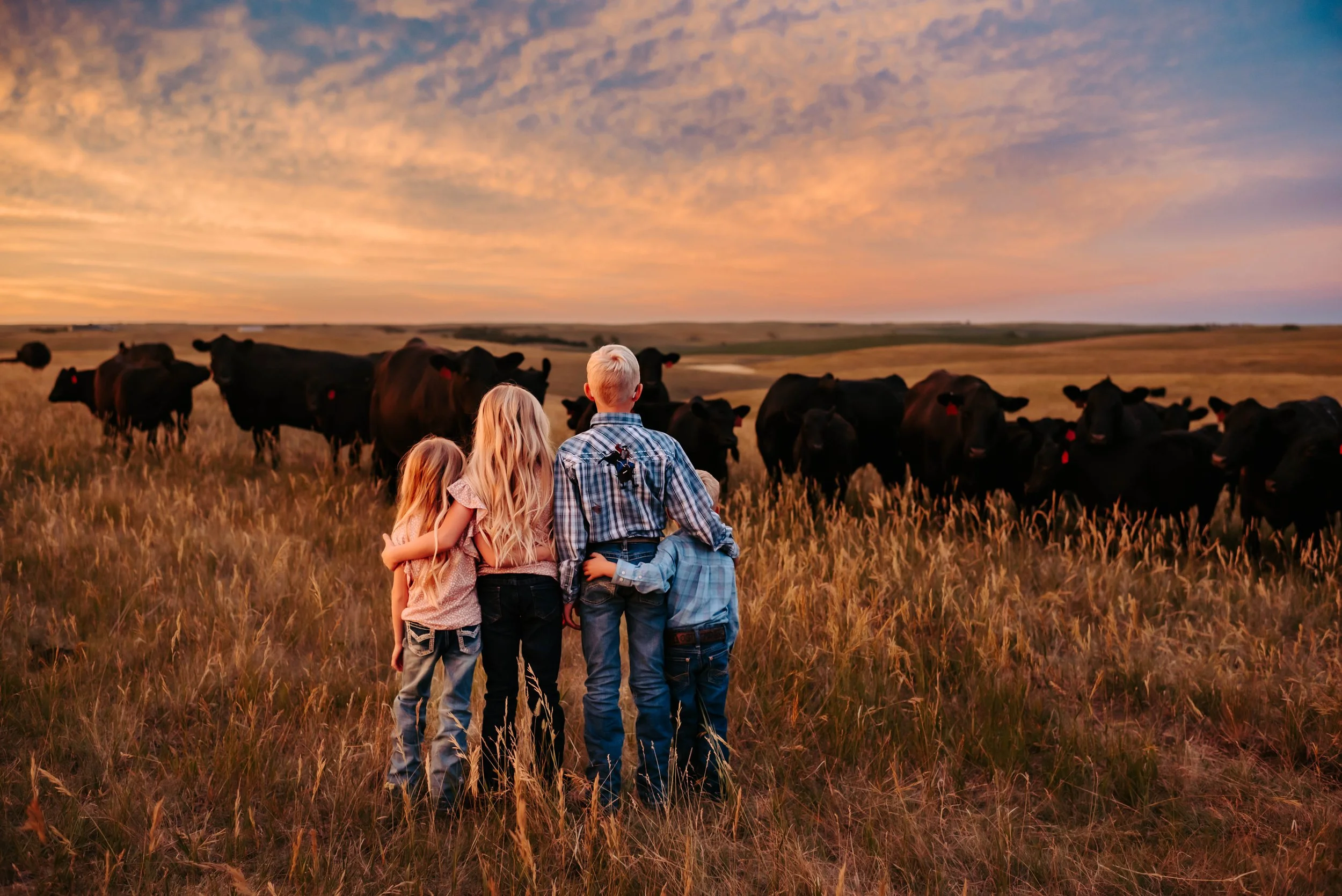 Our Story — Ostrand Angus