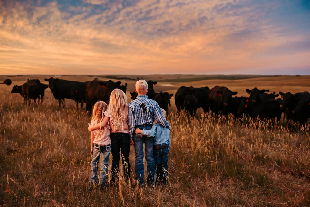 Our Story — Ostrand Angus