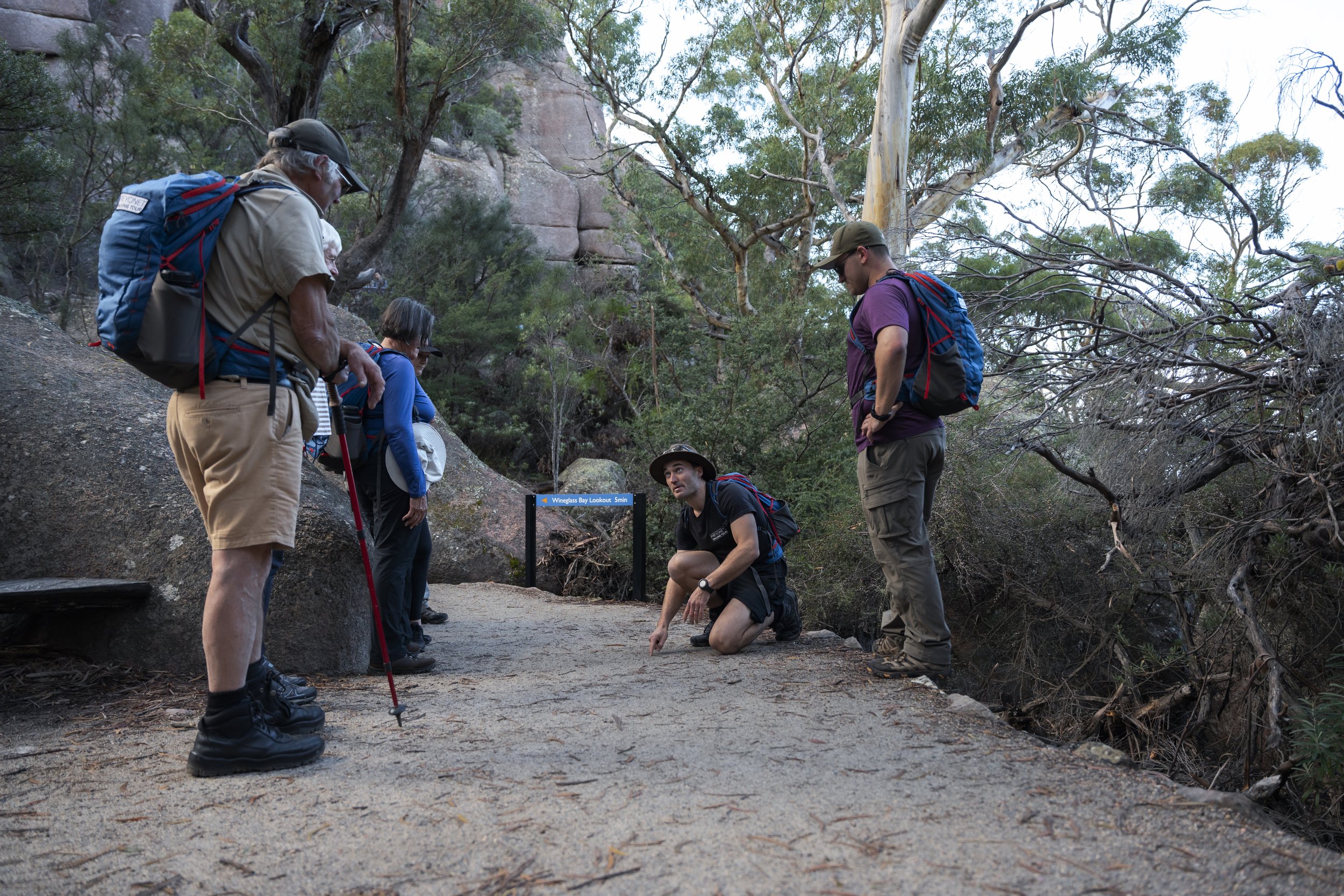 Freycinet Walks | Freycinet Walking Tour