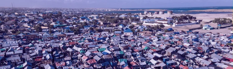 About — Zite Manager