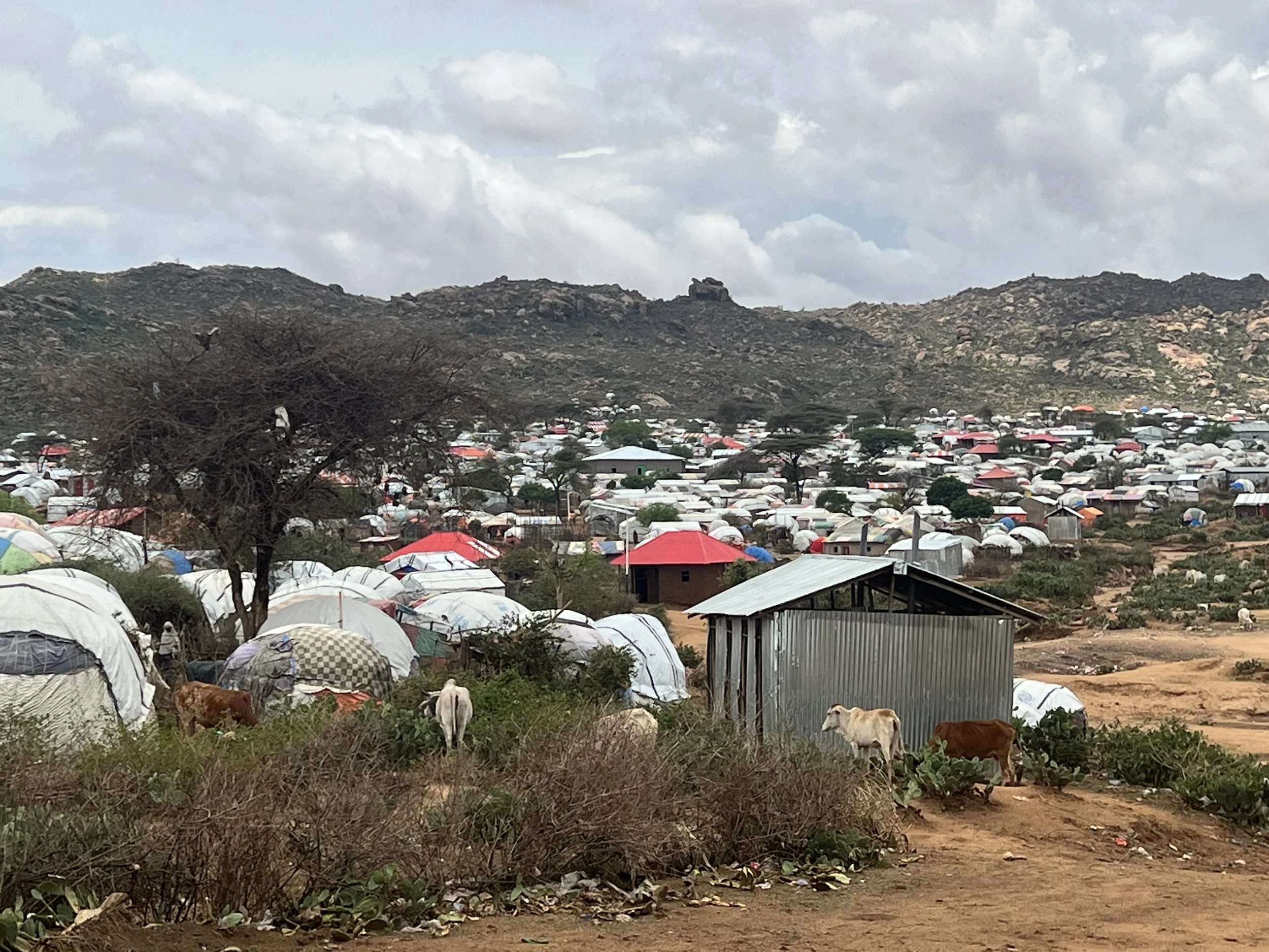 Ethiopia — Zite Manager