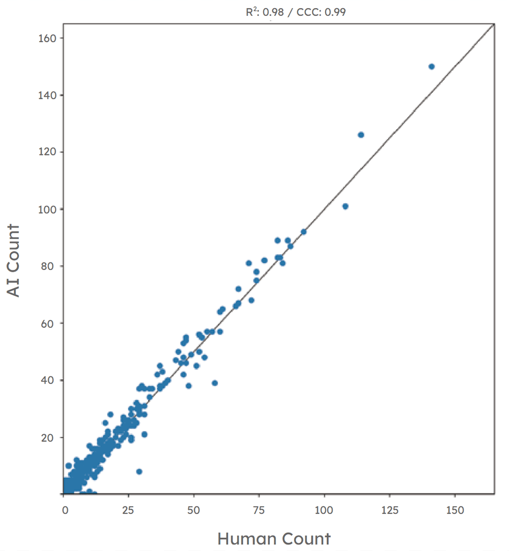 Coughy - Clinically validated real-time cough monitoring