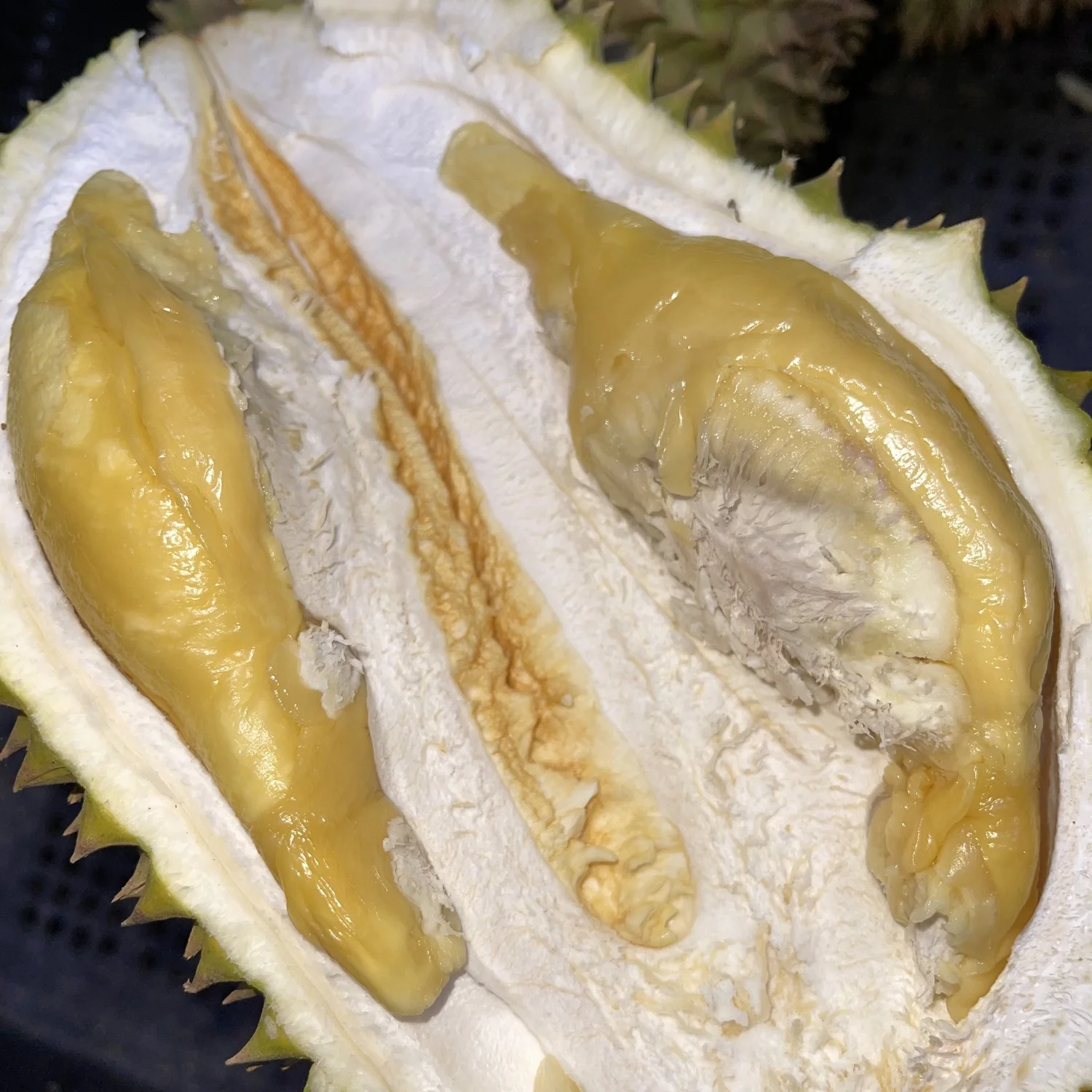 Get the Best Durians Delivered to Your Doorstep | Jiak Durian Mai ...