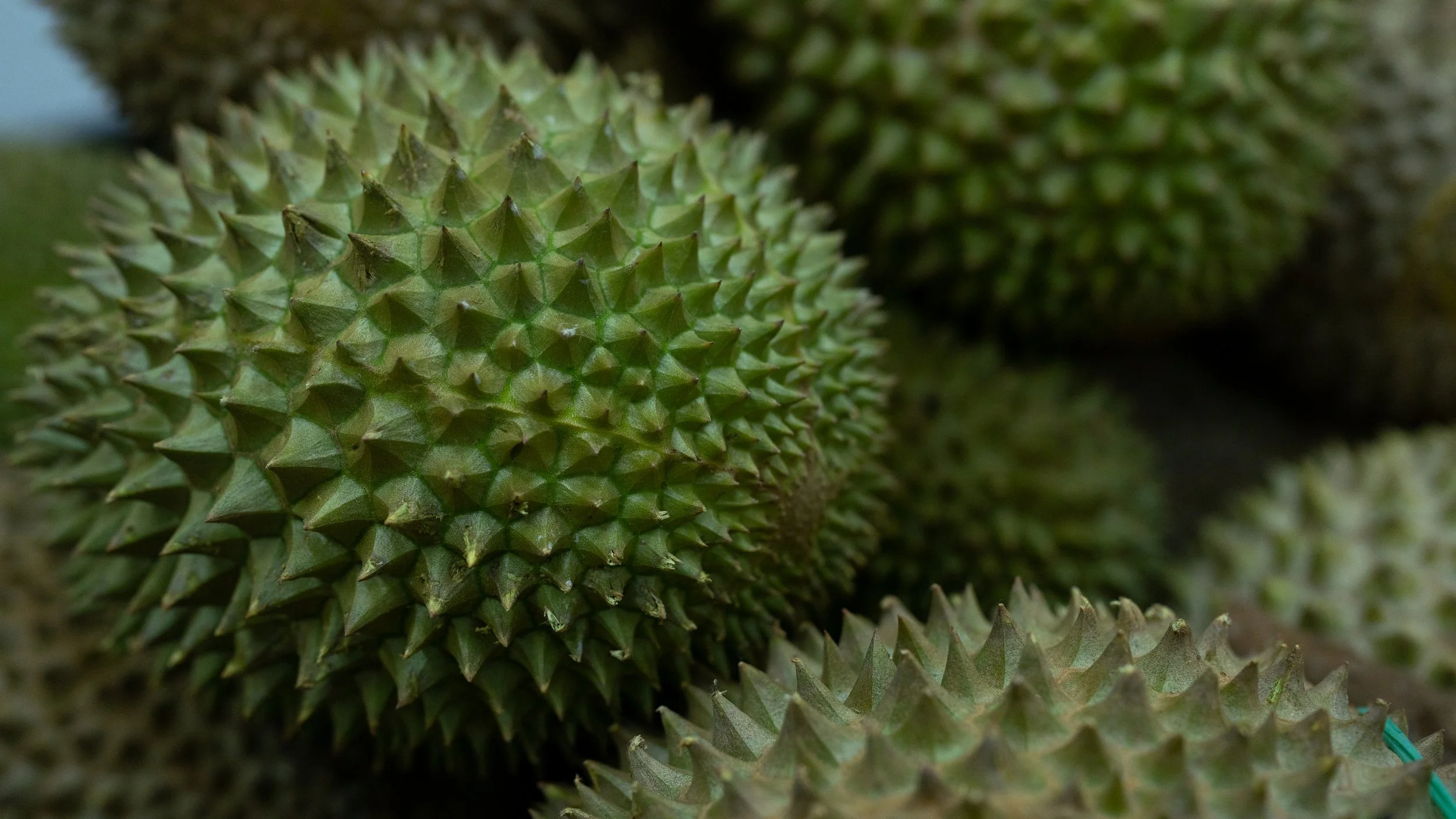 Get the Best Durians Delivered to Your Doorstep | Jiak Durian Mai ...